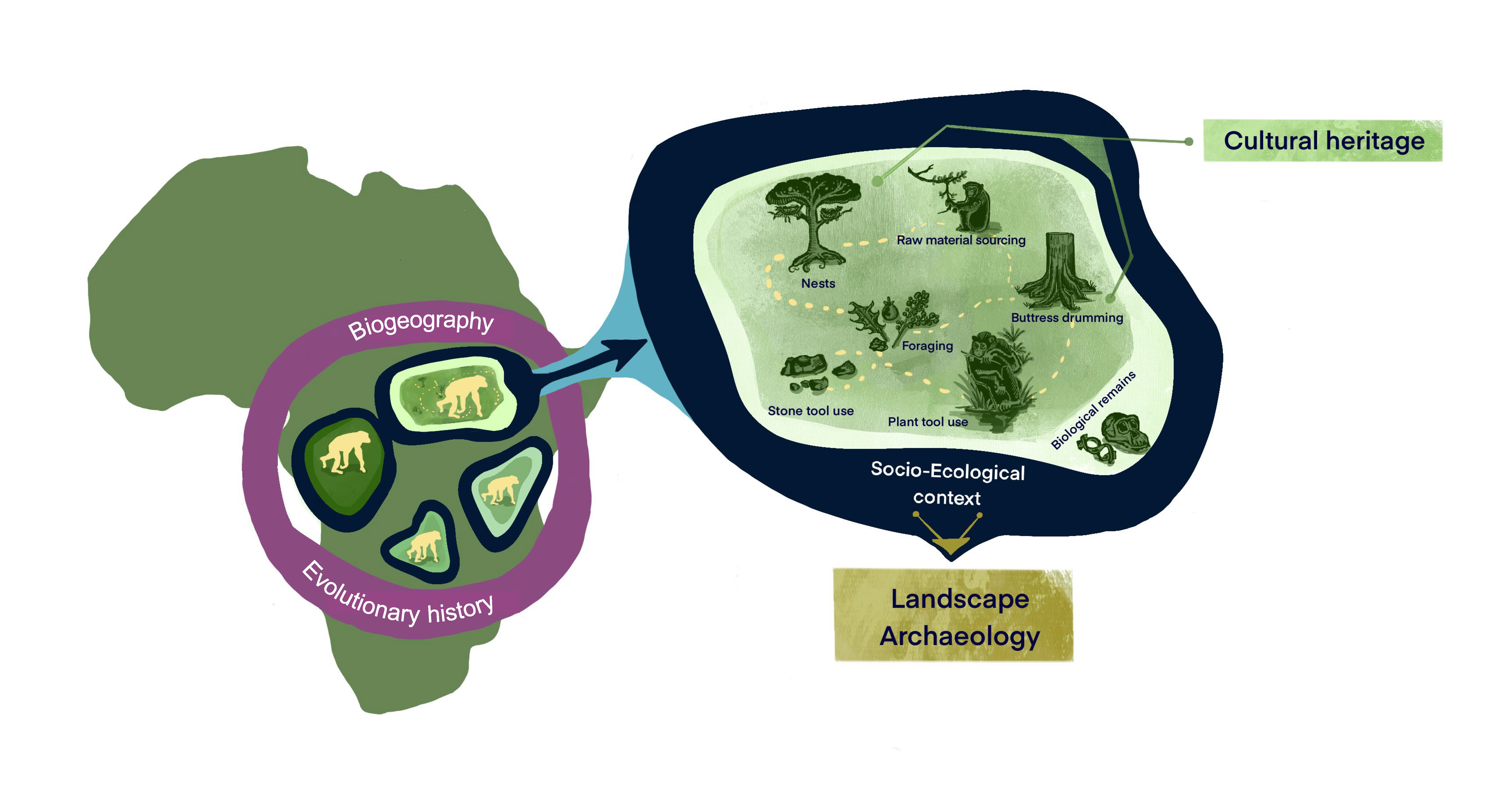 Lab members publish milestone review paper discussing the past, present ...